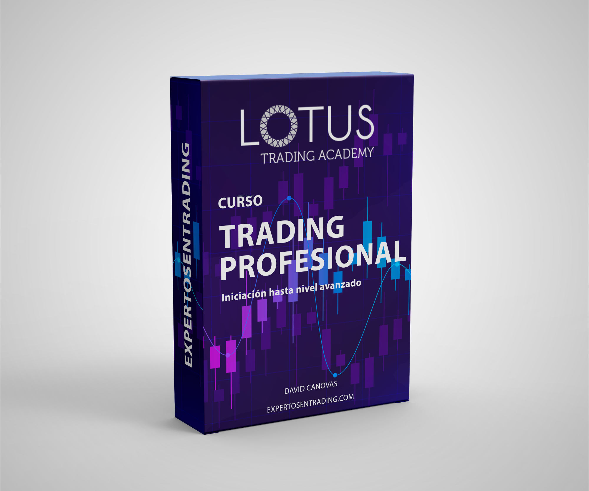 Inscripción al Curso de trading profesional académico - Cursos de ...